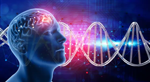 Liv Bona Dea Hospital - Liv Hospital Xəstəxanası